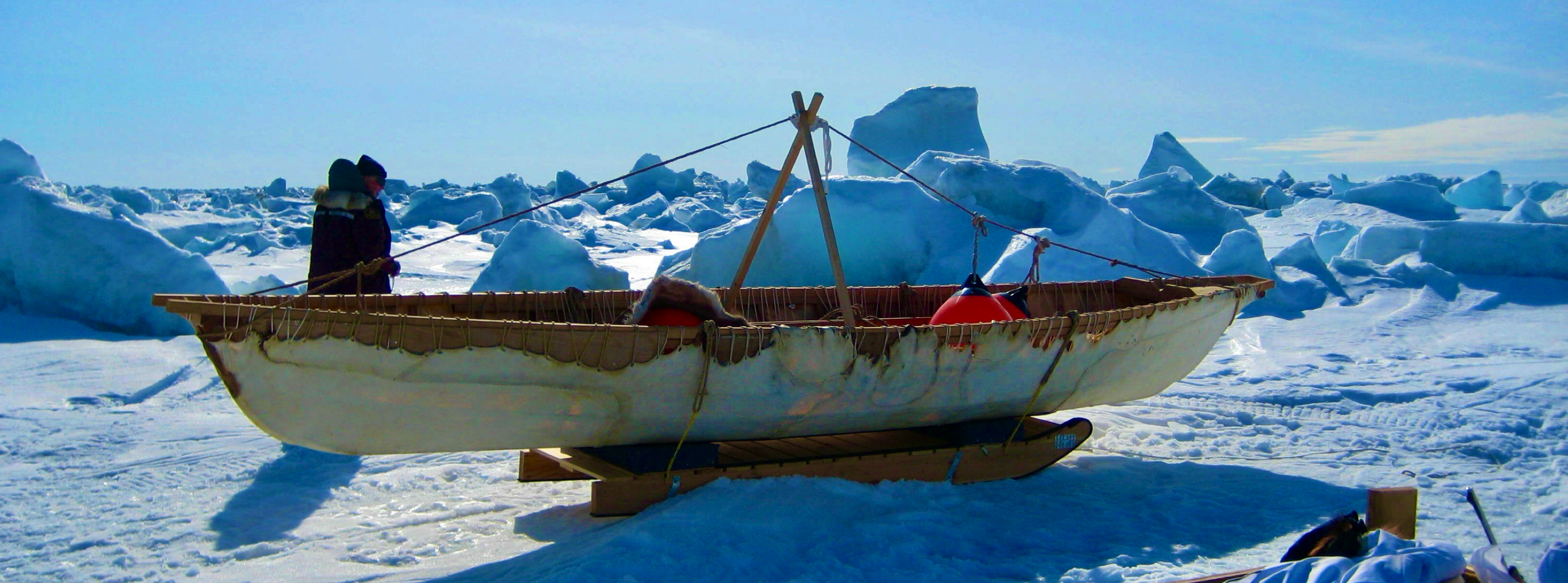 An emerging ocean: Safeguarding the Central Arctic through conservation ...